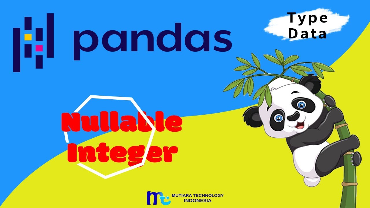 Tutorial Pandas Nullable Integer Data Type YouTube Tutorial Pandas Nullable Integer Data Type YouTube
