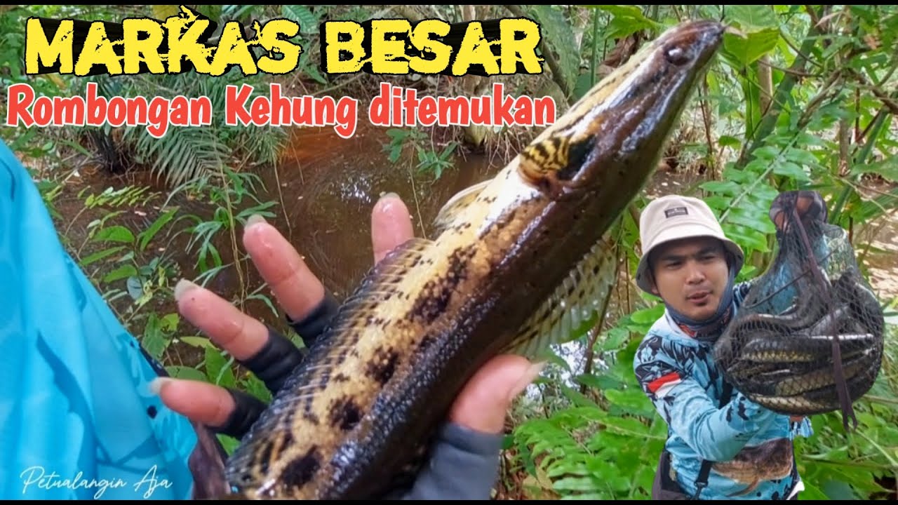 Menyala Adrenalinku ‼️Mancing Dispot Tersembunyi Sampai Panen Ikan ...