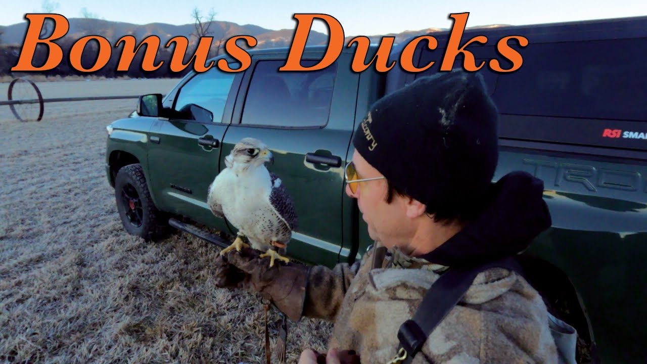 We get Lucky and found some Bonus Ducks (January 2, 2024) - YouTube