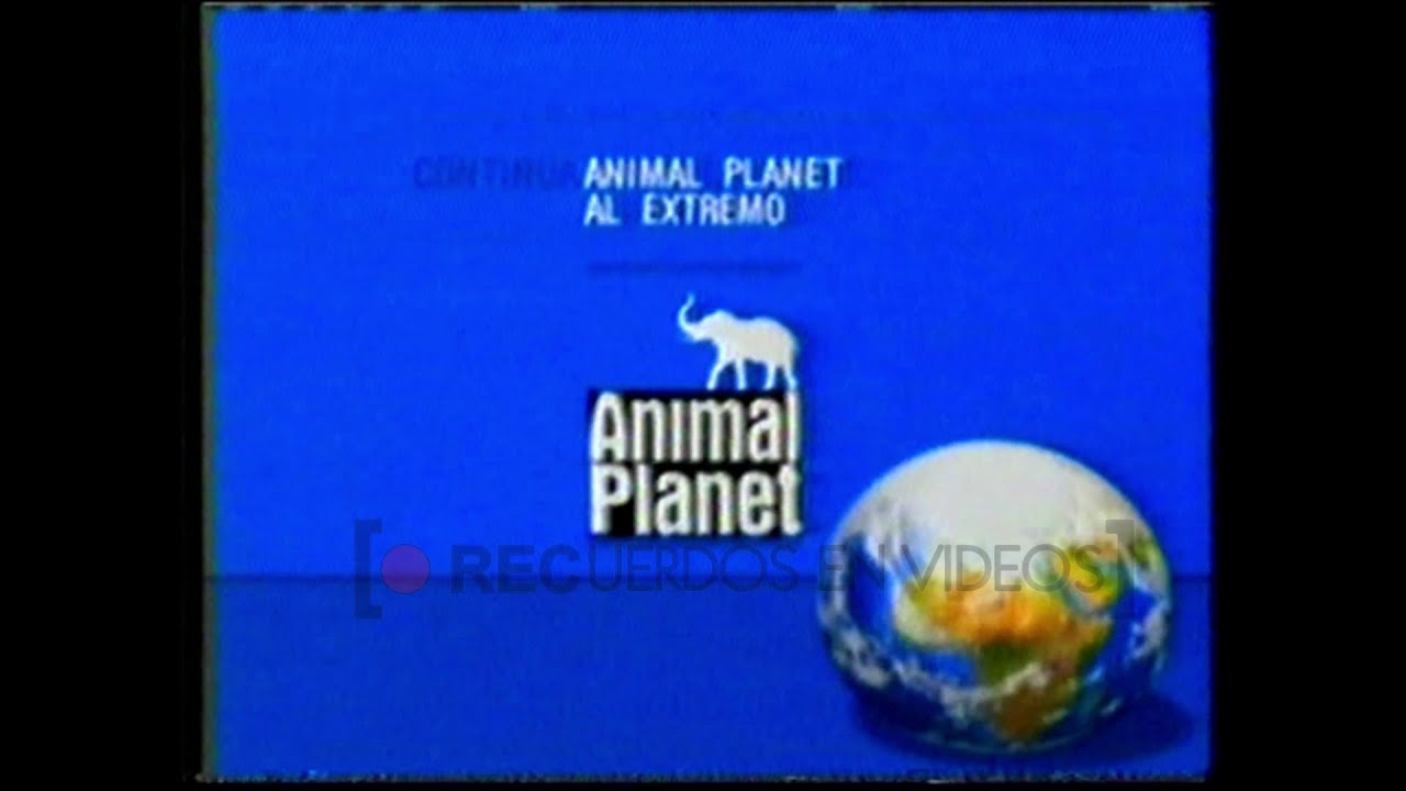 Bumper Animal Planet FINAL (2002) #shorts - YouTube