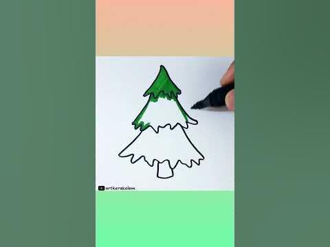 how to draw pine tree - YouTube
