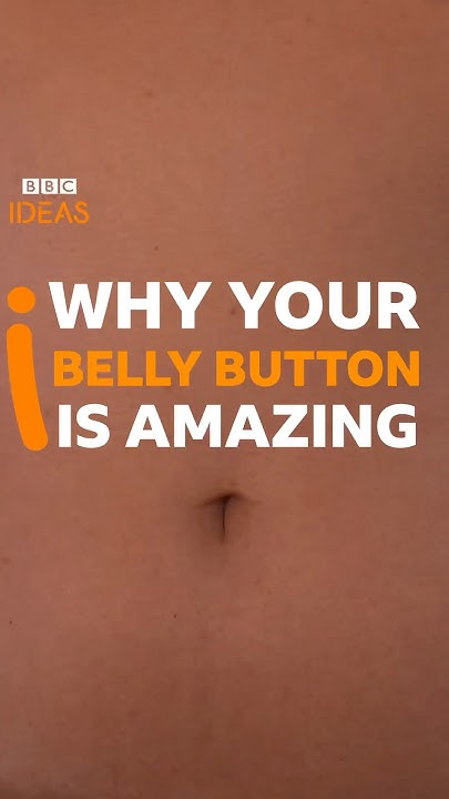 Do You Have An Innie Or An Outie Bellybutton Anatomy Bbcideas Youtube