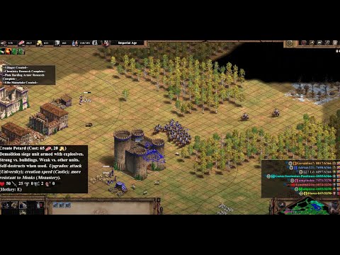 Opponent does not resign because bored | Noob 4v4 | Land Nomad | Age Of ...