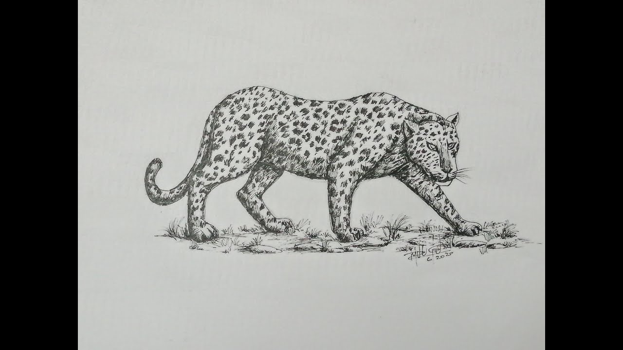 How to Draw leopard with a pen - YouTube