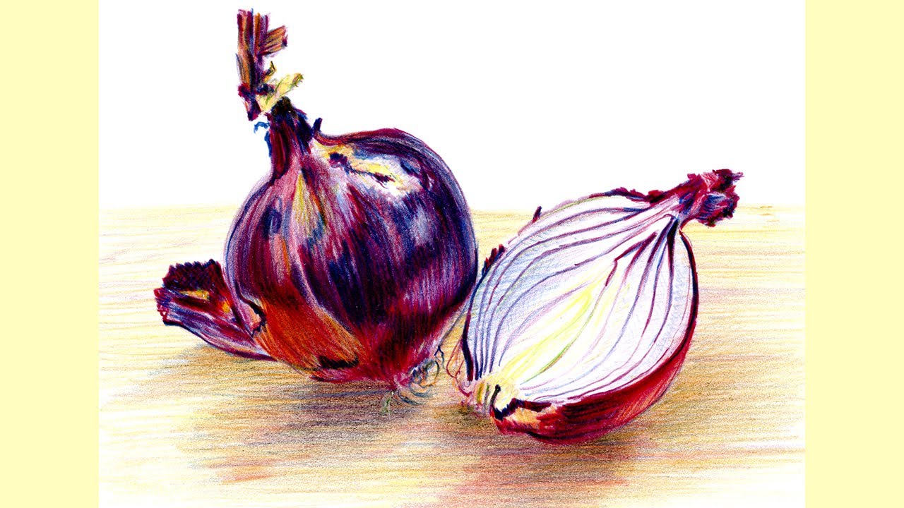 Colour pencil drawing of a whole and a halved red onion - YouTube