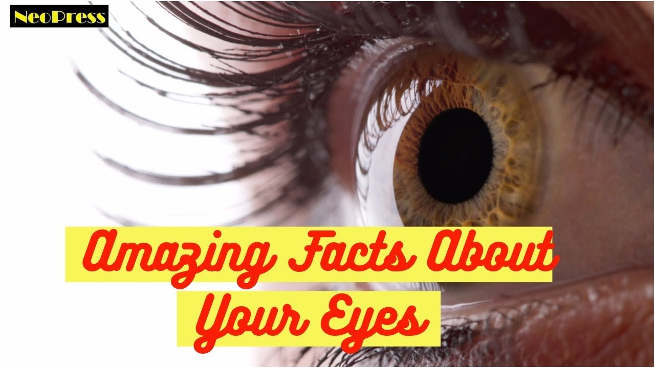 Unknown and Amazing Facts About Your Eyes - YouTube