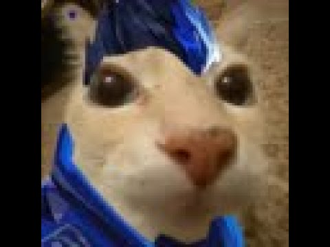 Los momentos mas DIVERTIDOS de DoSekai en Twitch!! (2022-2023) - YouTube