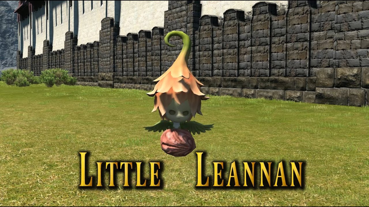 FFXIV: Little Leannan Minion - YouTube