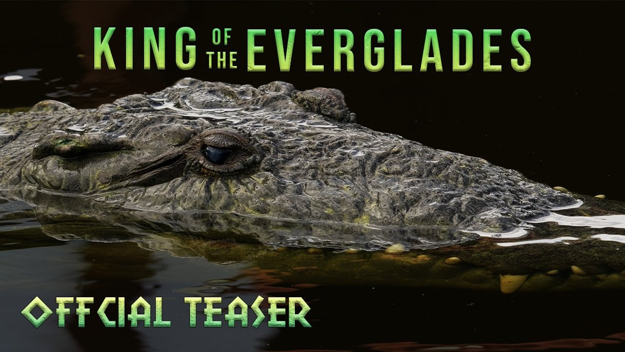 King of the Everglades | Croczilla Documentary | Official Teaser ...