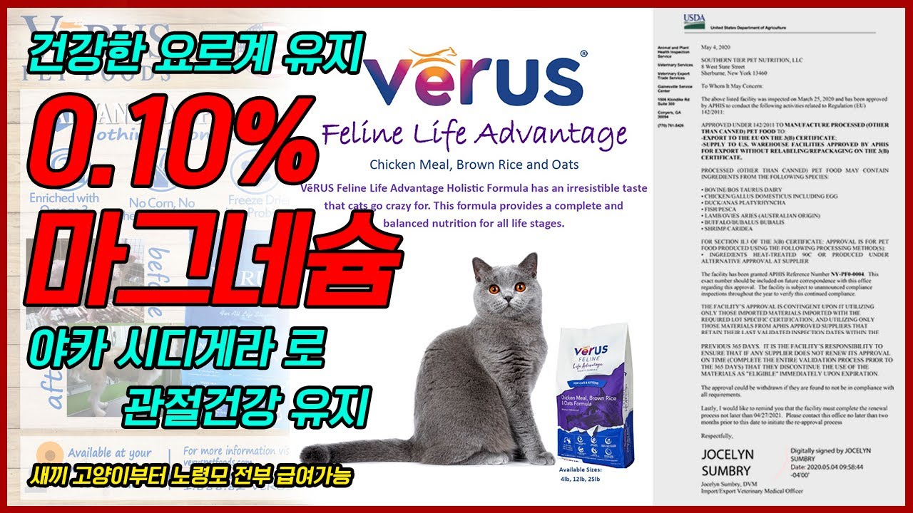 베루스 사료 미국생산 1% USDA APHIS EU인증 28년 역사 페라인 고양이 사료, 신장건강을 위한 전문적 기능 고양이 ...