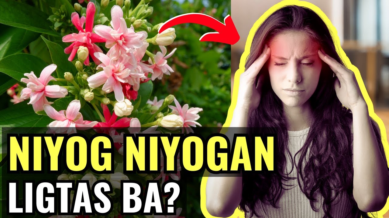 Niyog-Niyogan Plant: Mabisang Lunas o Delikadong Damo? - YouTube