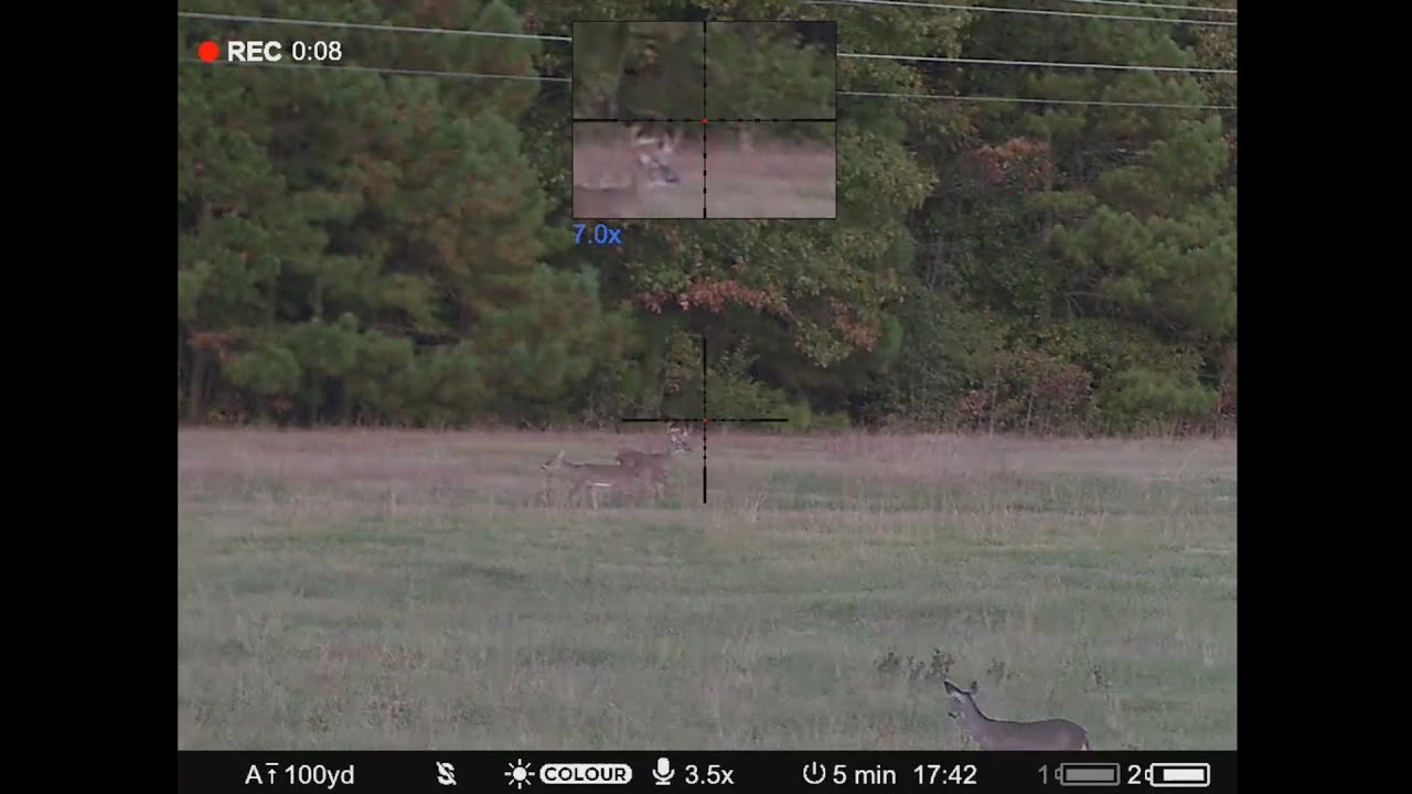 My son's first deer! 8 pointer down! - YouTube