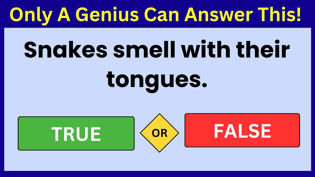 True OR False Quiz: Put your knowledge to the test #challange #quiz #gk ...