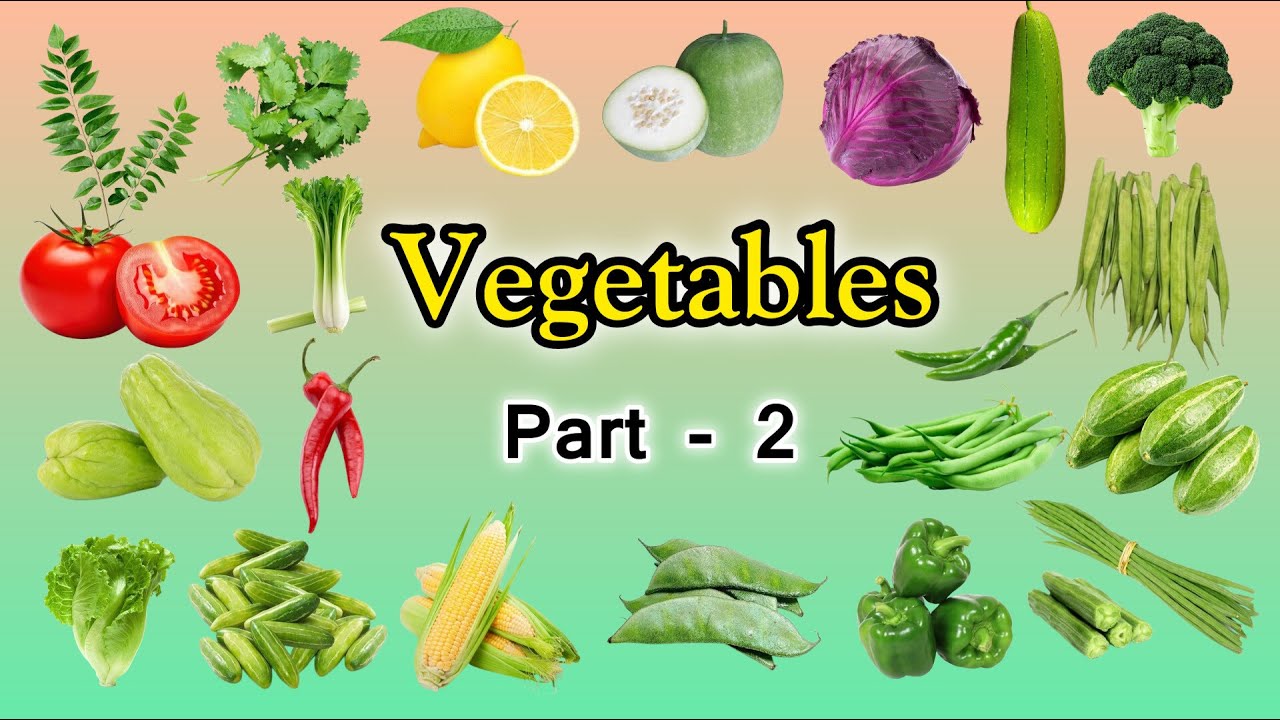 Learn Vegetables Names | Educational Video for Kids & Beginners # ...