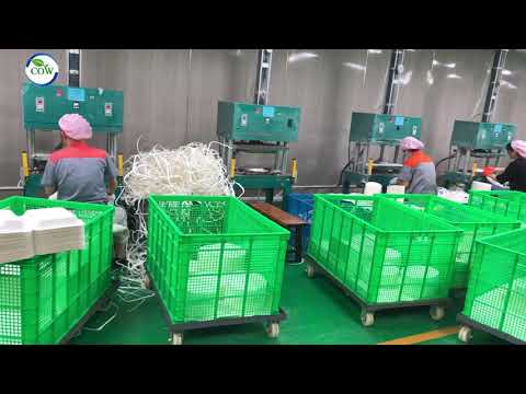 sugarcane bagasse tableware production process - YouTube