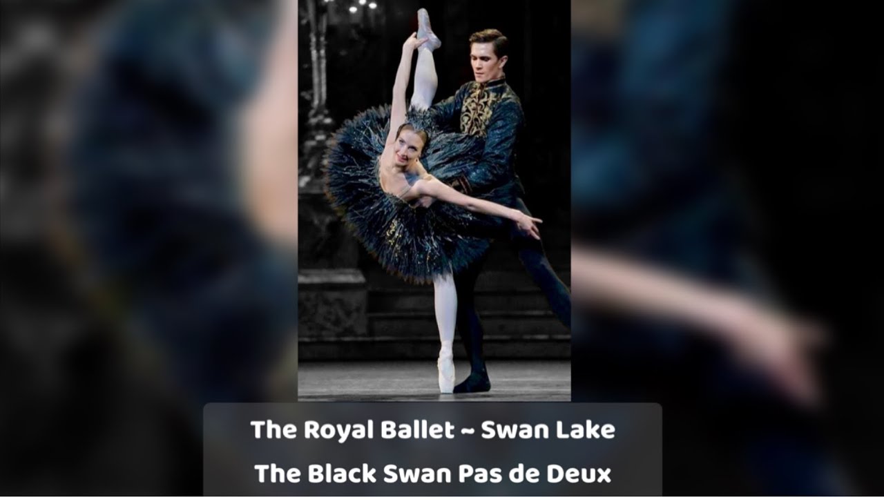 The Royal Ballet ~ Swan Lake Black Swan Pas de Deux - YouTube