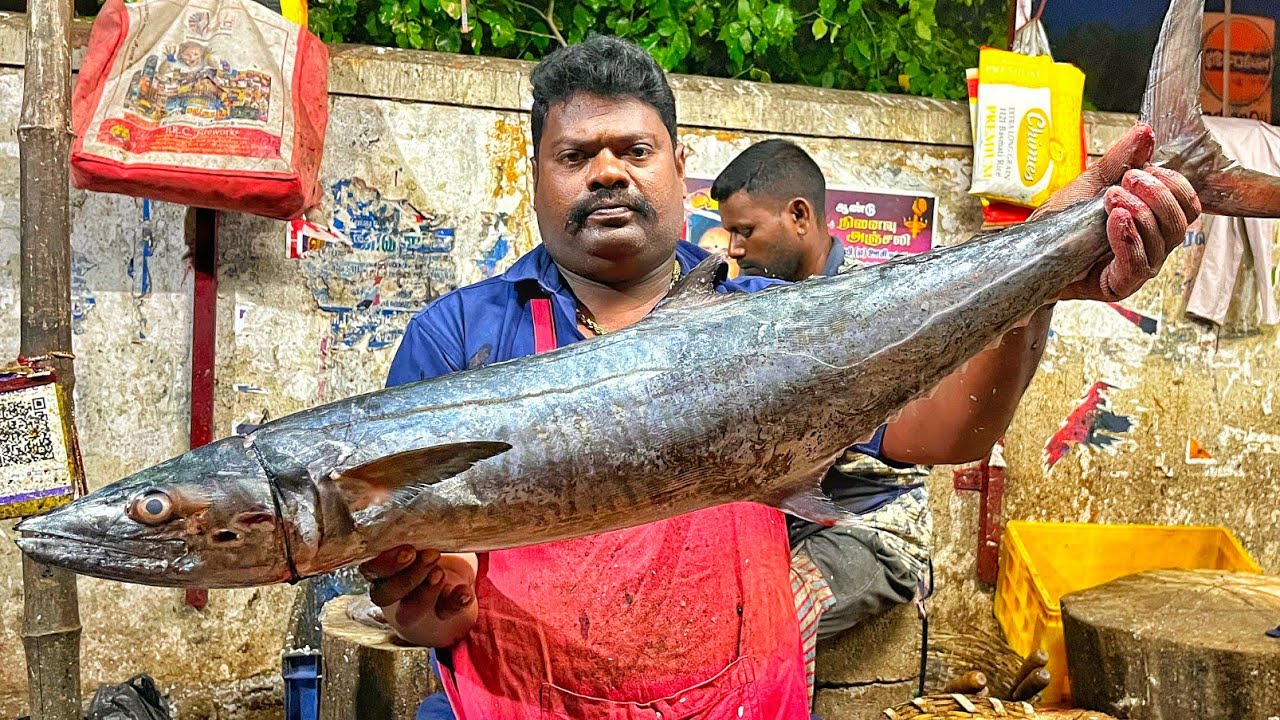 KASIMEDU 🔥 SPEED SELVAM | BIG SIZE LIVE KING SEER FISH CUTTING VIDEO ...