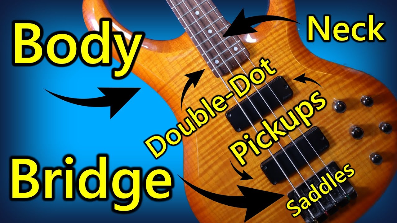 What You NEED to Know BEFORE You Play | Beginners Bass Guide - YouTube