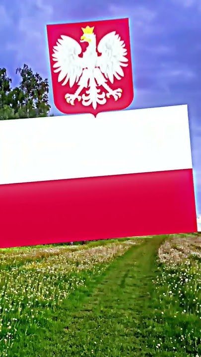 |Все флаги и гербы славянских стран за 11 секунд|#рекомендации #history ...