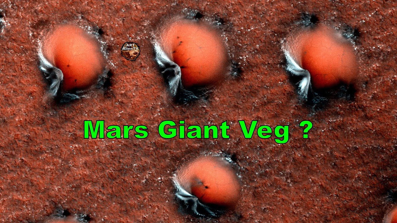 MARS Giant Veg Plants ? Oh My Gourd ! ArtAlienTV - YouTube