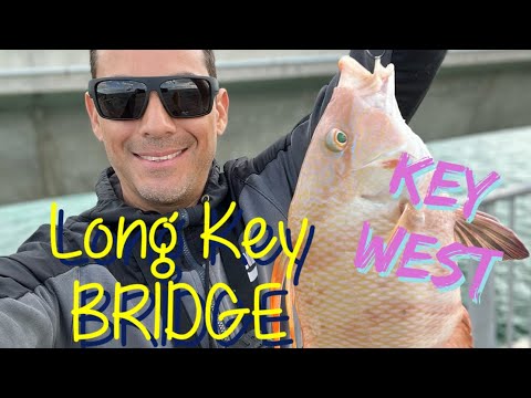 Key West LONG KEY BRIDGE FISHING! - YouTube