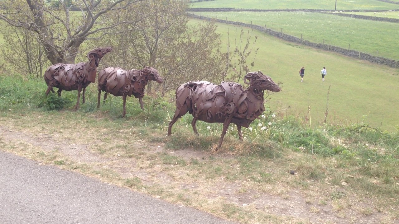 Iron sheep - YouTube