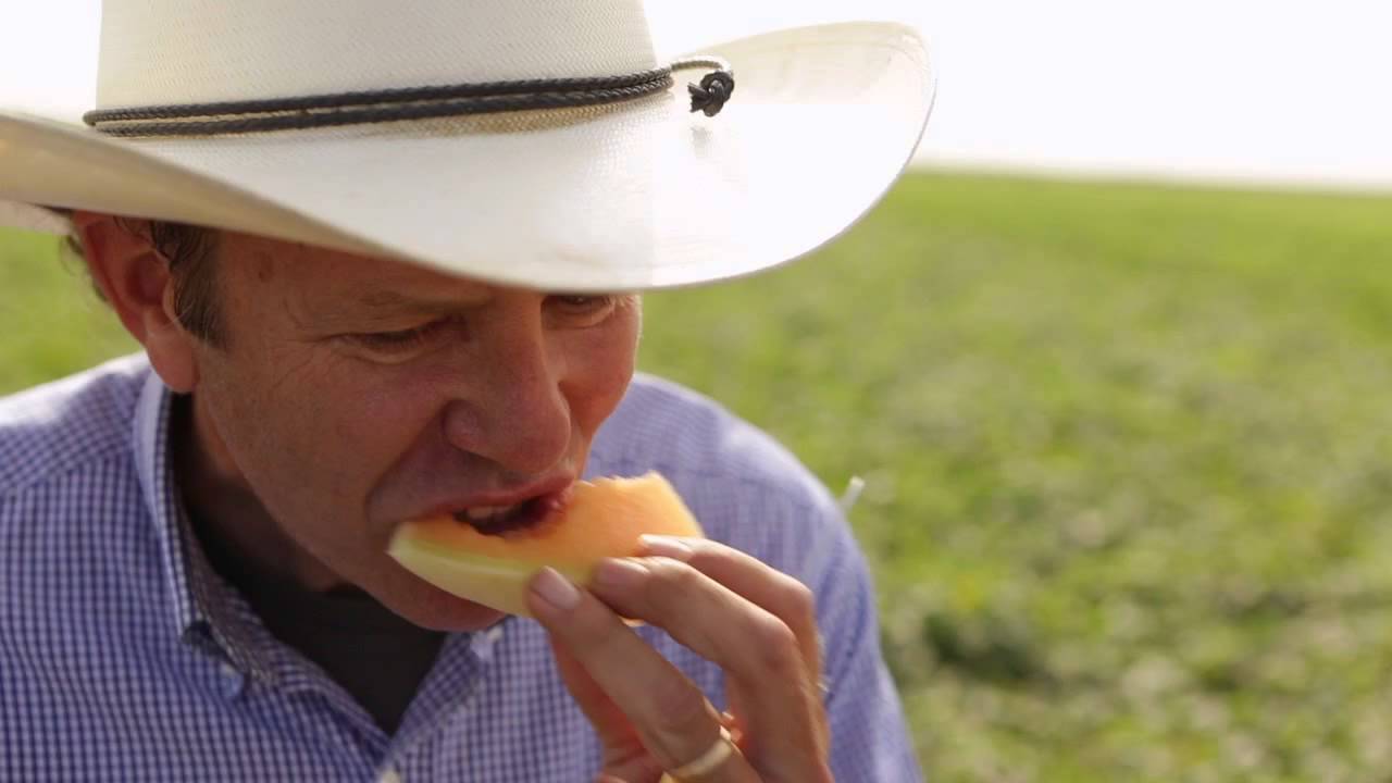 Turlock Farms WEB1 - YouTube