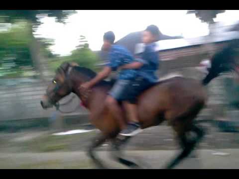 Tiyu 2014 (3) - YouTube