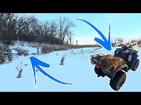 Trapping a Hidden Bay Beaver Lodge (Big Beaver Double)