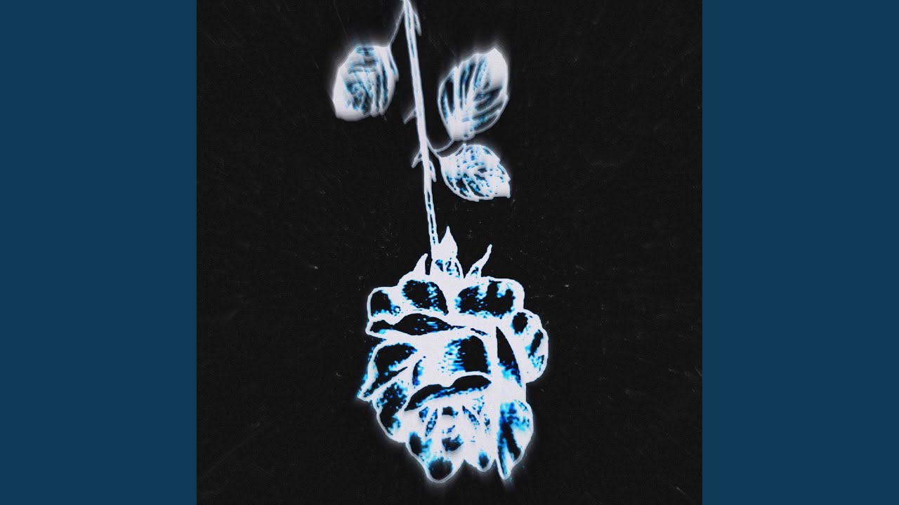 Hogi (feat. Mav) - YouTube Music