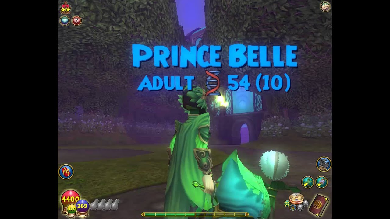 wizard101 Evergreen Bundle - YouTube