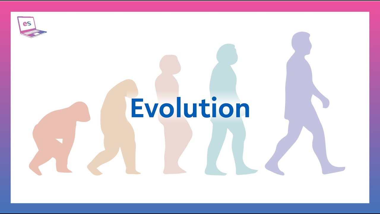 Evolution and Survival: A Deep Dive into the Journey of Life🌱 | ExamSorted - YouTube