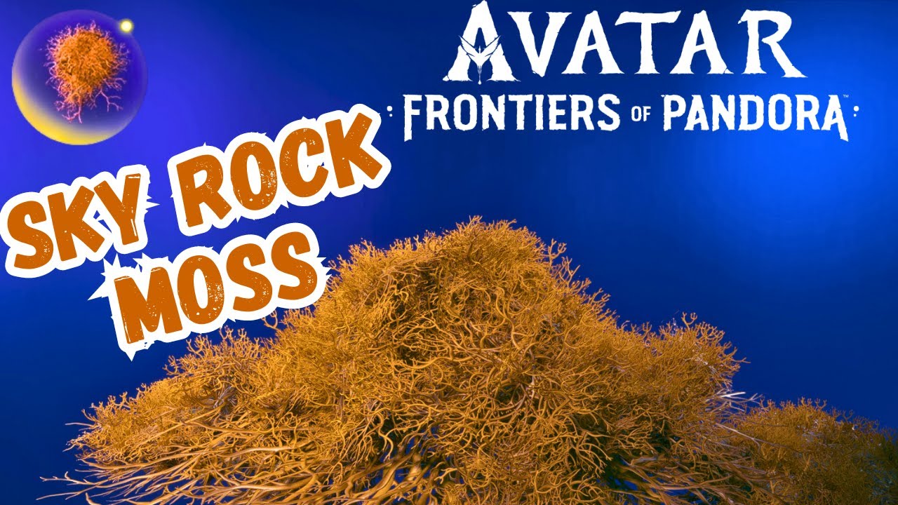 Avatar Frontiers Of Pandora | Exquisite Sky Rock Moss - YouTube