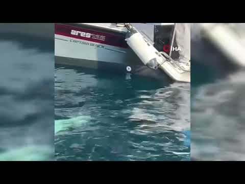 Amatör balıkçı hayatının şokunu yaşadı… En büyük köpek balığını yakaladı