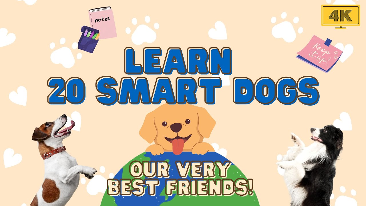 Types of Dogs for Kids - Learn 20 Dog in 3 minutes| Education Song for ...