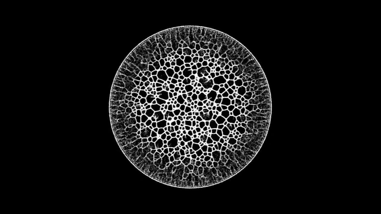 physarum ( slime mold ) simulation - YouTube