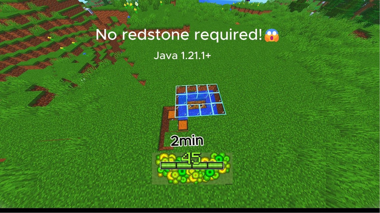 Best Armadillo xp farm, No Redstone. Java edition 1.21.11 - YouTube