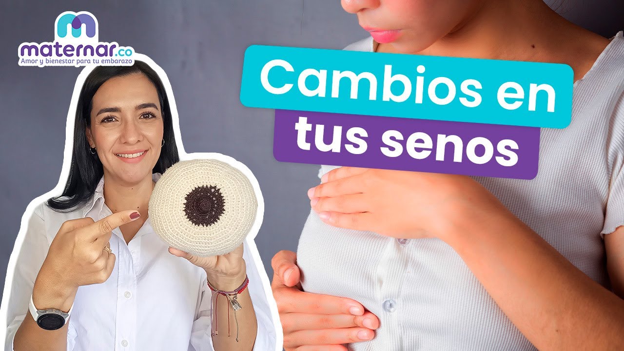 Cómo cambian tus senos en el embarazo | Maternar.co - YouTube