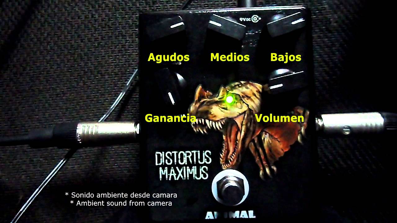 Distortus Maximus Rex - YouTube