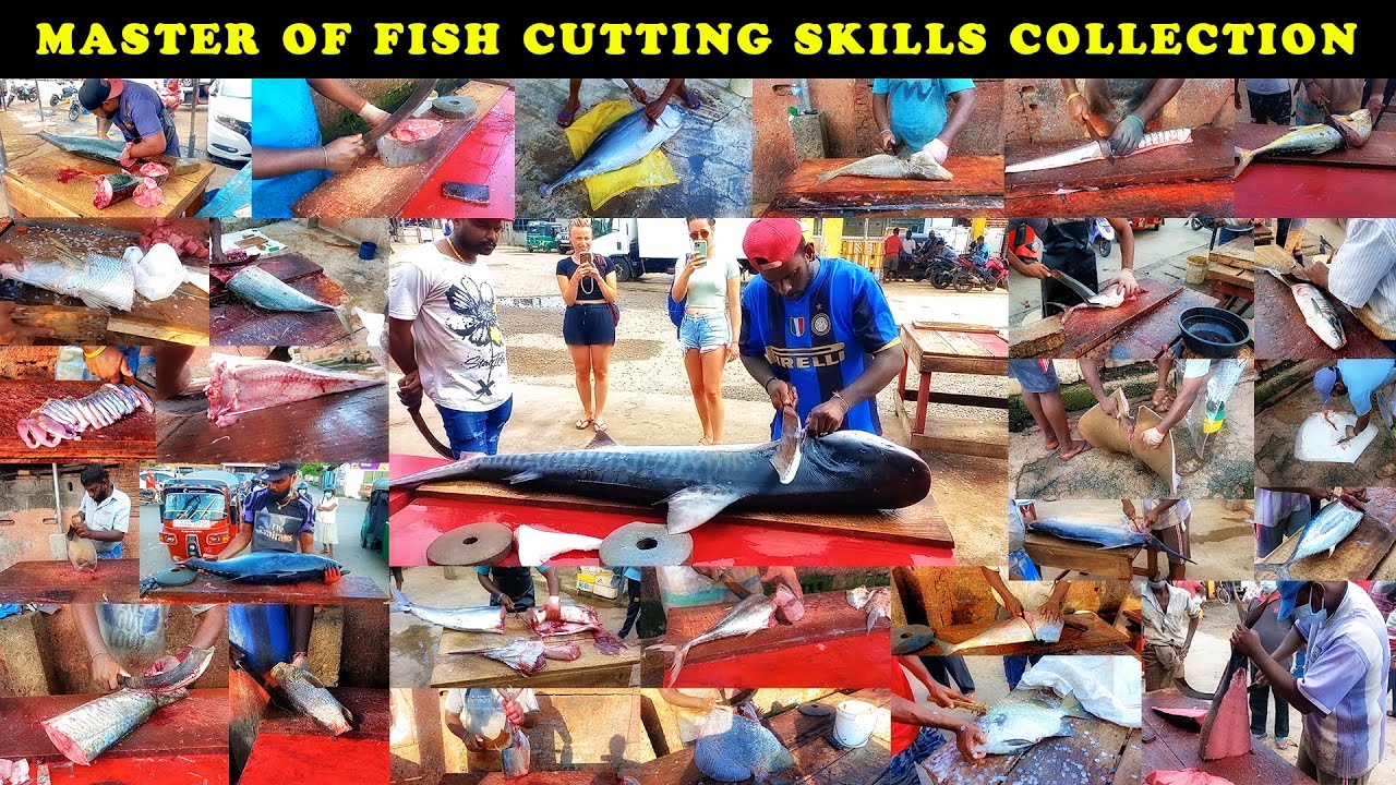 AMAZING FISH CUTTING SKILLS COLLECTION MASTER STYLE ALL IN ONE VIDEOS ...