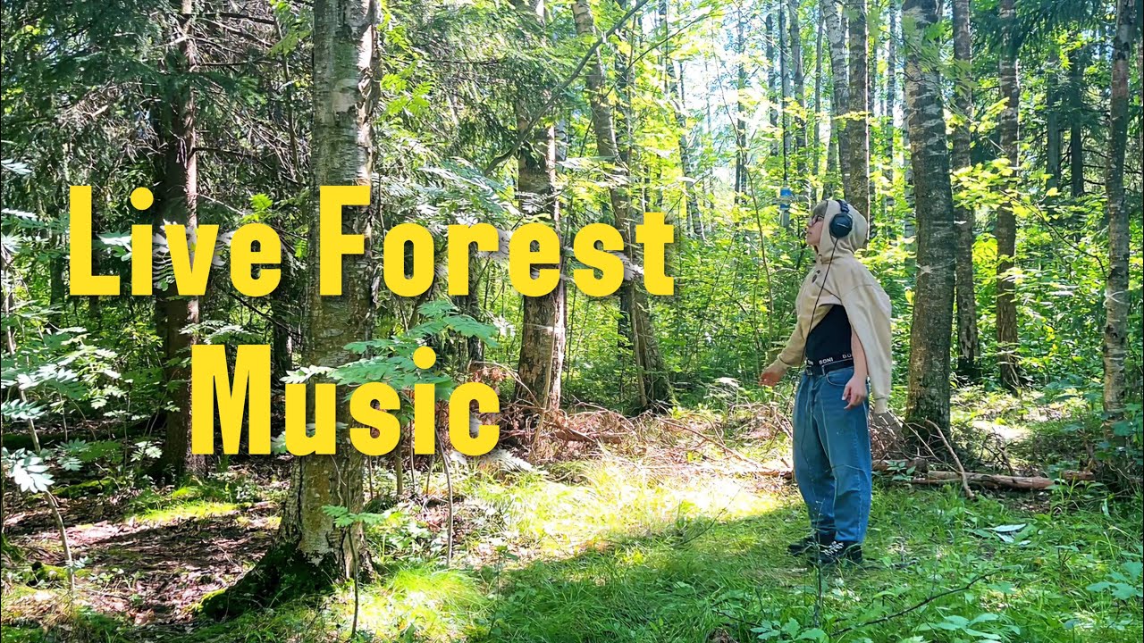 Live Forest Music: Lil Mon - Zdravo - YouTube