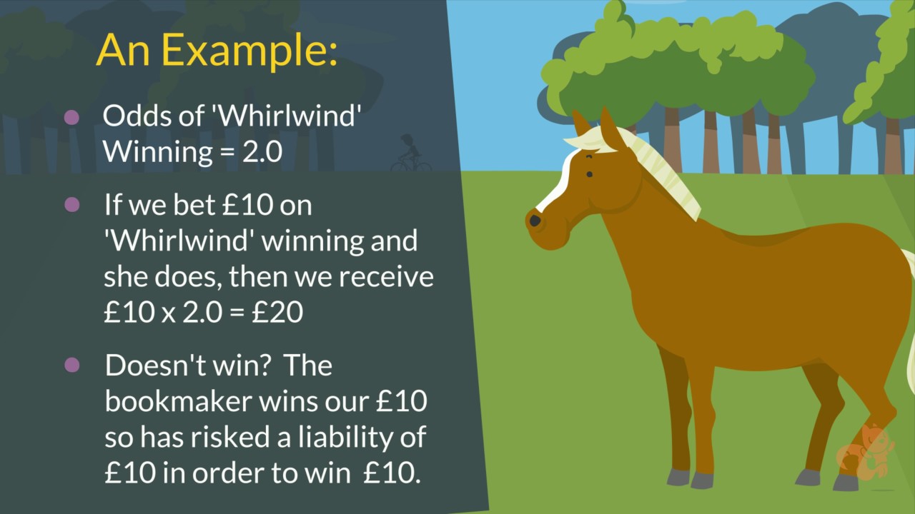 Understanding Liability In Betting Exchanges | Matched Betting | Profit ...