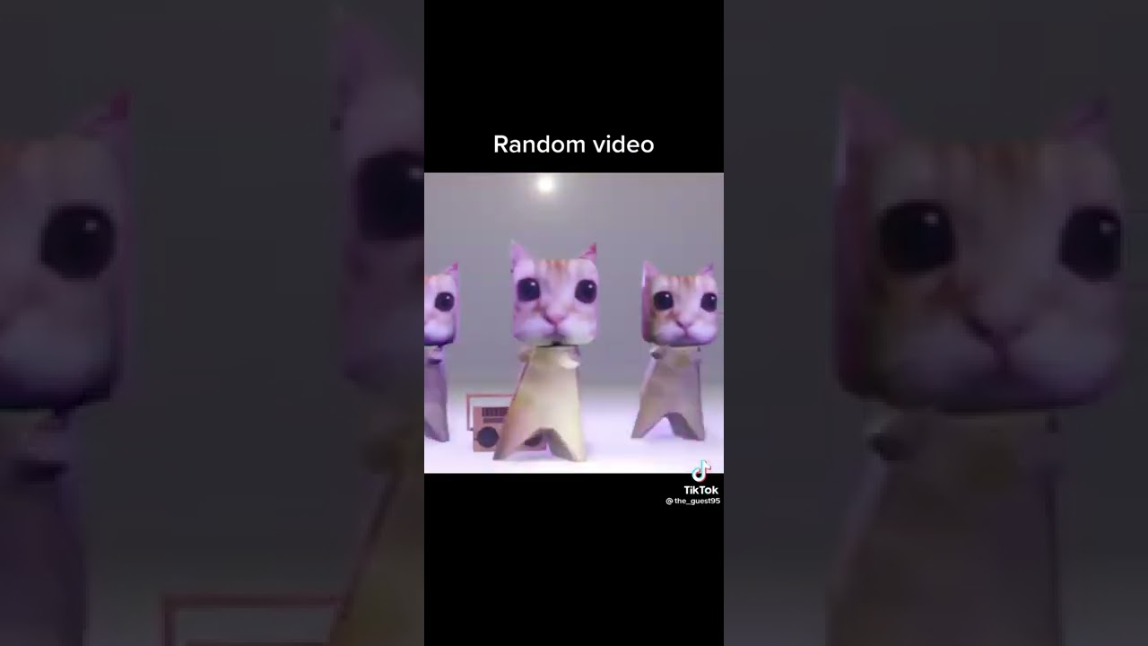 El Gato Dance Meme - YouTube