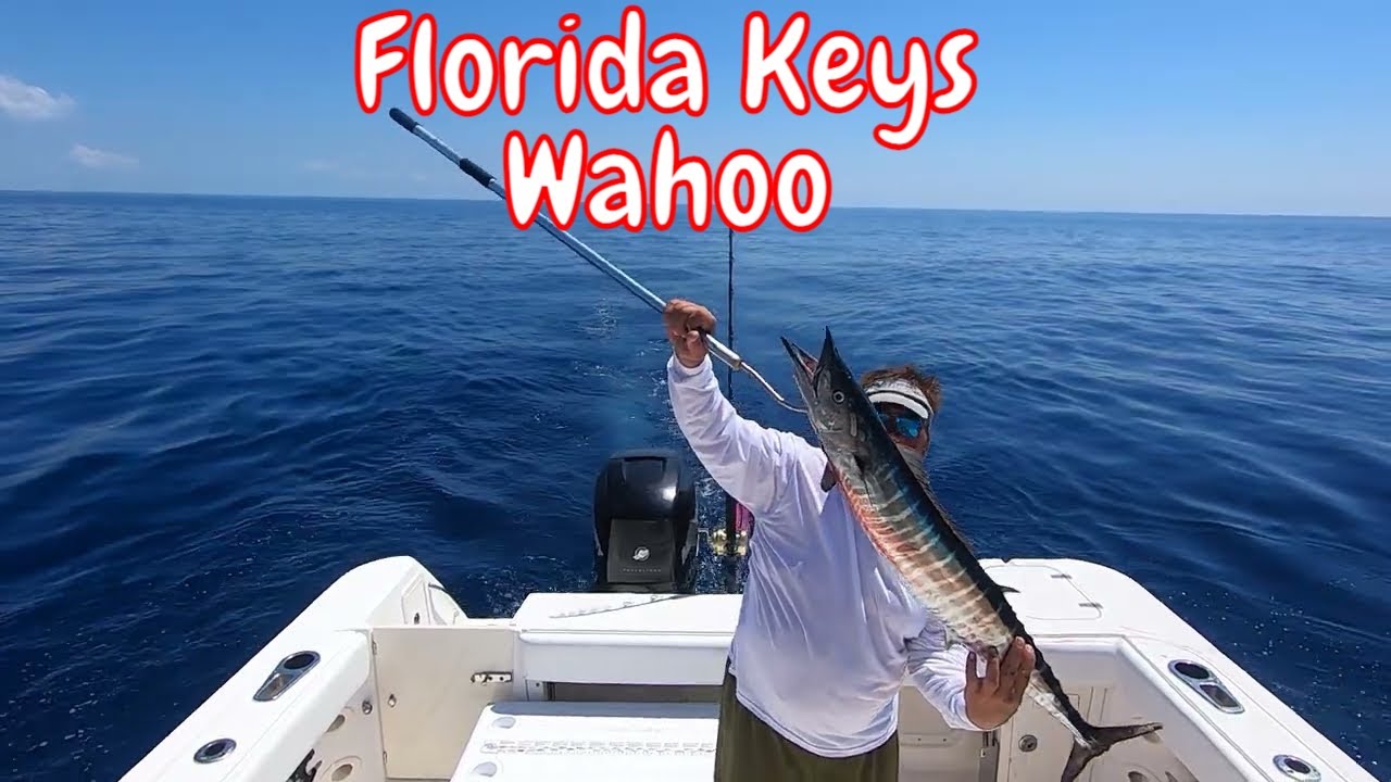 Fishing Key West for Wahoo - YouTube