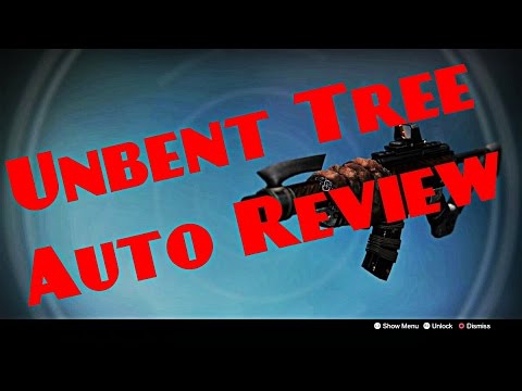 Unbent Tree Iron Banner Auto Rifle Review - YouTube