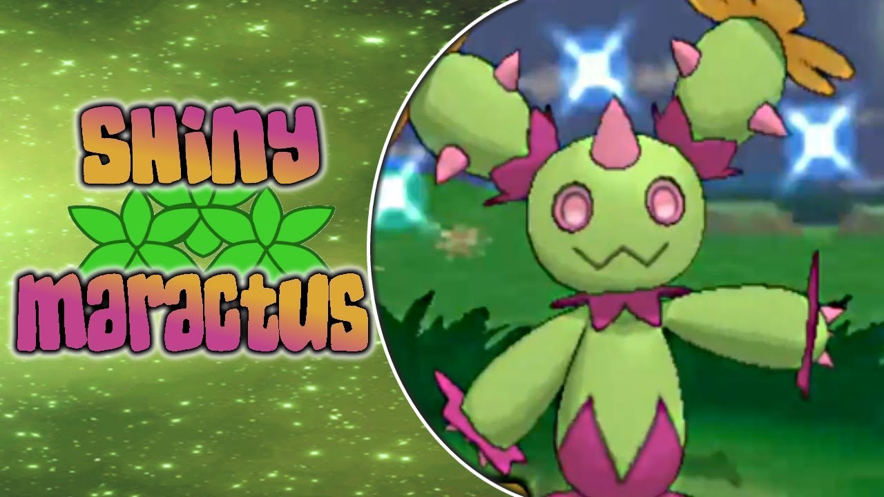 [LIVE] Shiny Maractus after 69 Friend Safari Encounters! - YouTube