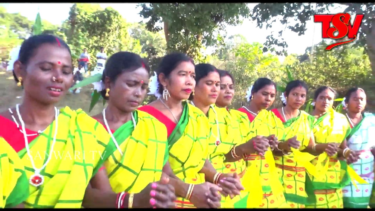 sanwaritv new santali traditional sahrai | Sinduriare Saro || Charrka ...