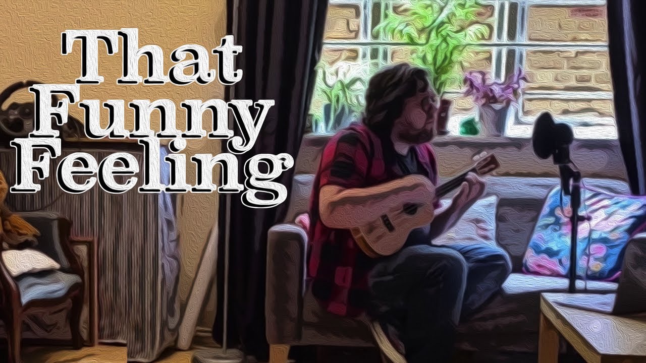 That Funny Feeling - Bo Burnham (Ukulele) - YouTube
