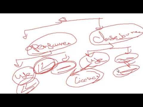 5 - difference between open and closed source programming language and ...