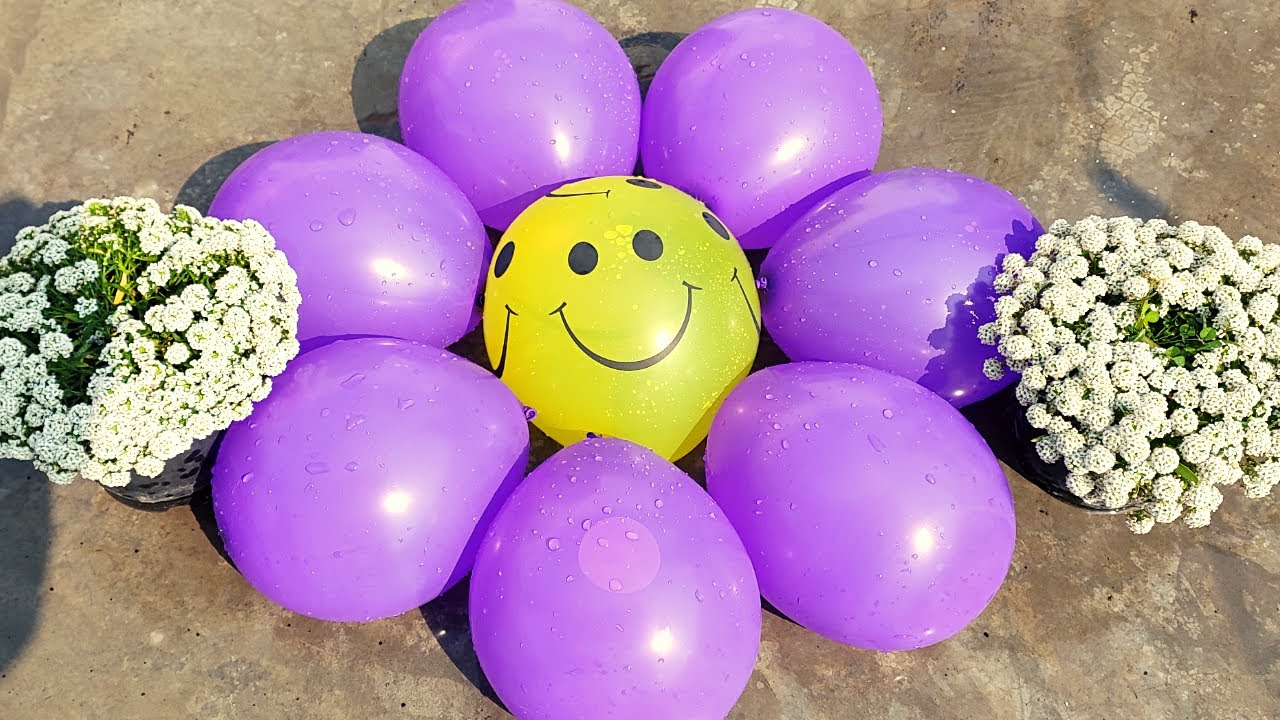 FUN PURPLE COLOUR WATER BALLOONS POP VIDEO !! EPISODE - 101!! - YouTube